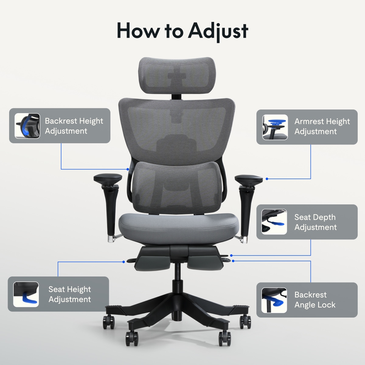 Professional Ergonomic Office Chair | Comfortable Chair C7M | Flexispot
